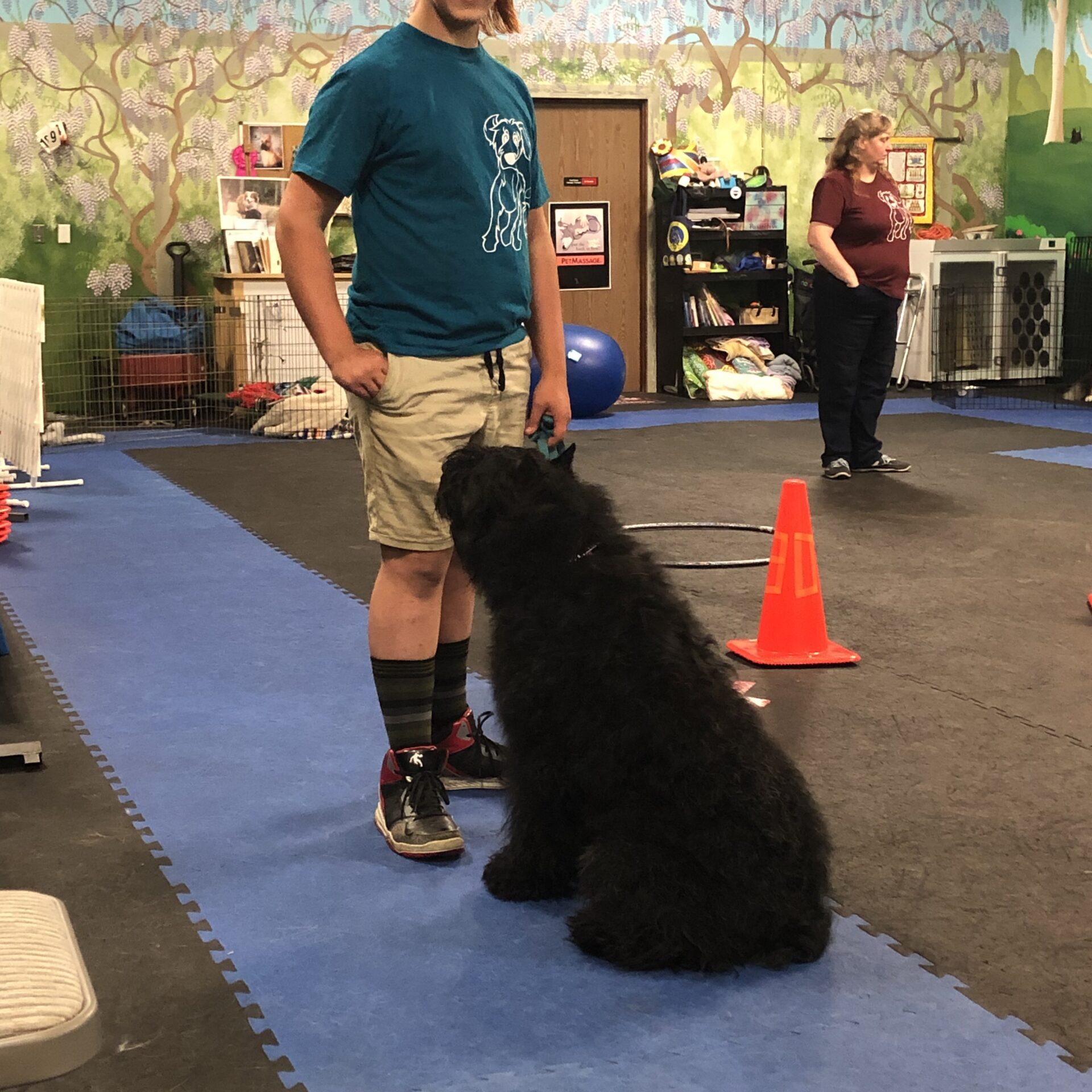 Services – Pup Pawsitive Dog Training